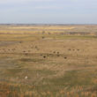 Photos | Coteau des Prairies Lodge